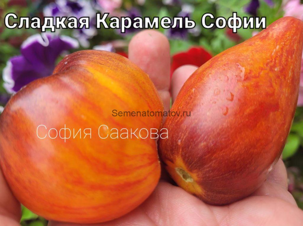 Сладкая Карамель Софии — Семена Томатов