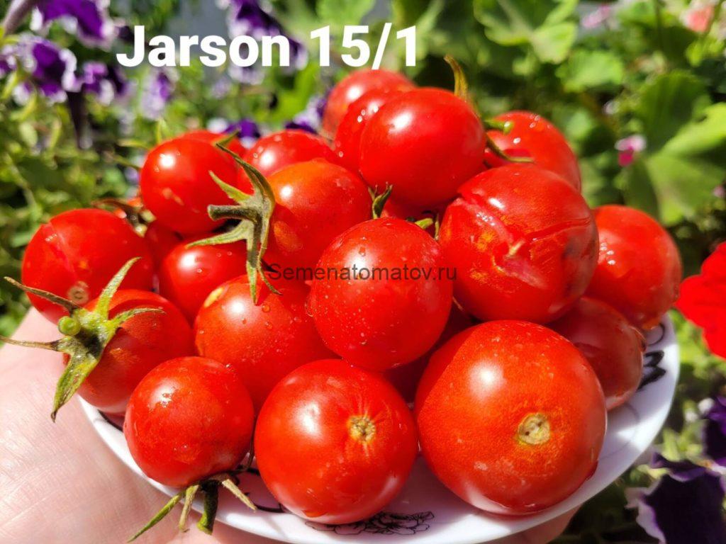 Jarson 15/1 — Семена Томатов