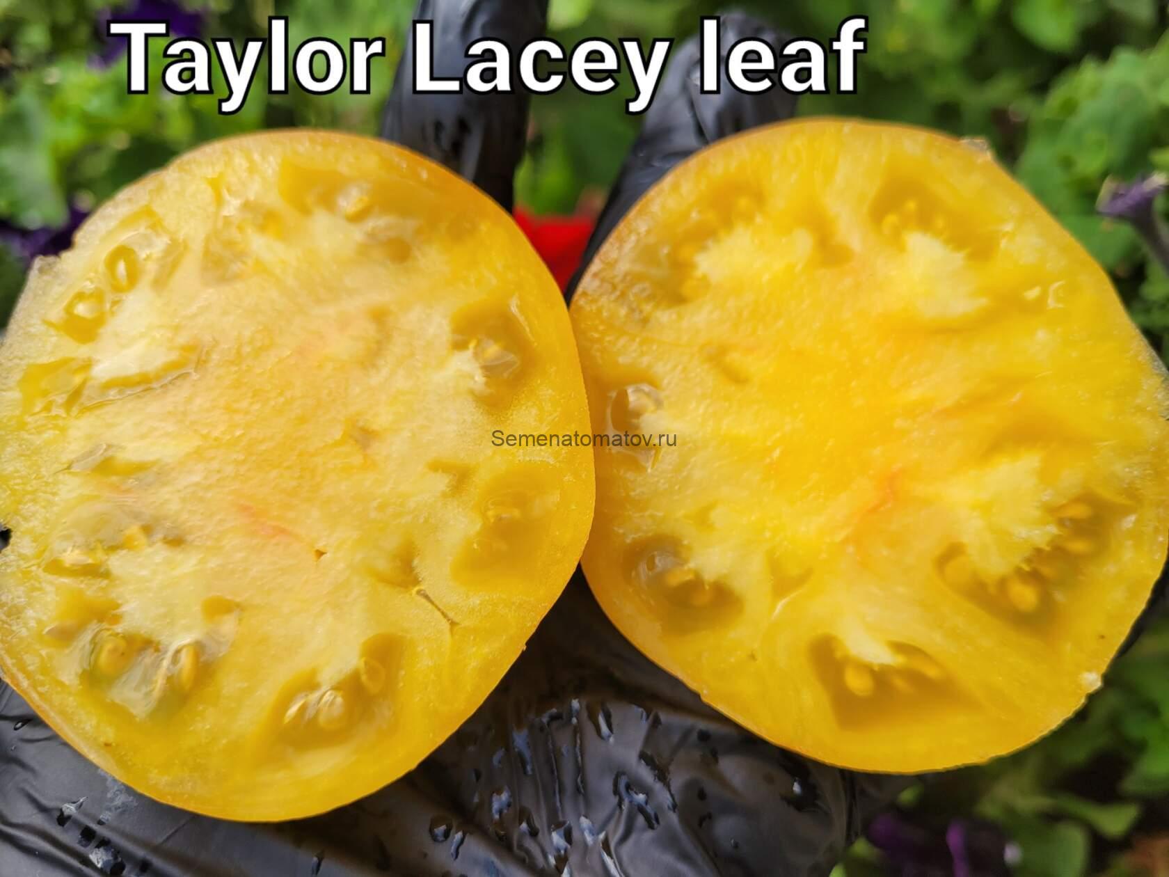 Taylor Lacey Leaf Тейлор Лейси Лиф — Семена Томатов