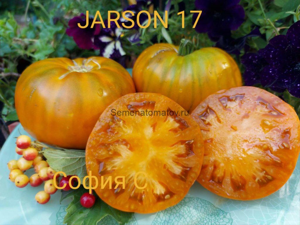 Jarson 17 — Семена Томатов