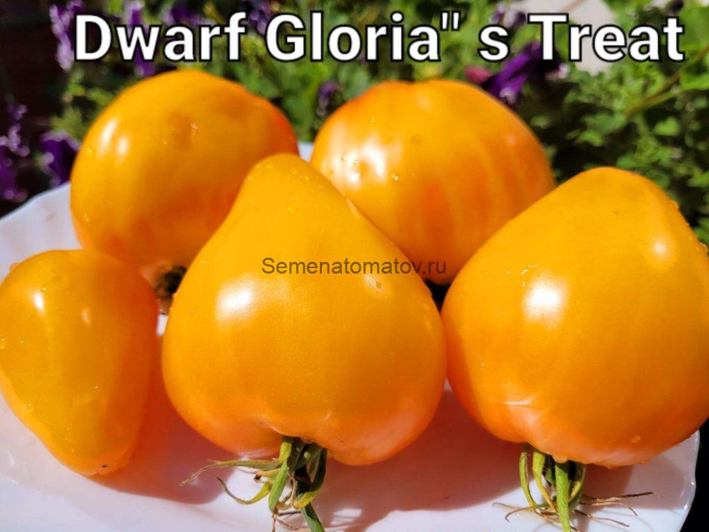 Dwarf Gloria’s Treat Tomato Гном Угощение Глории — Семена Томатов