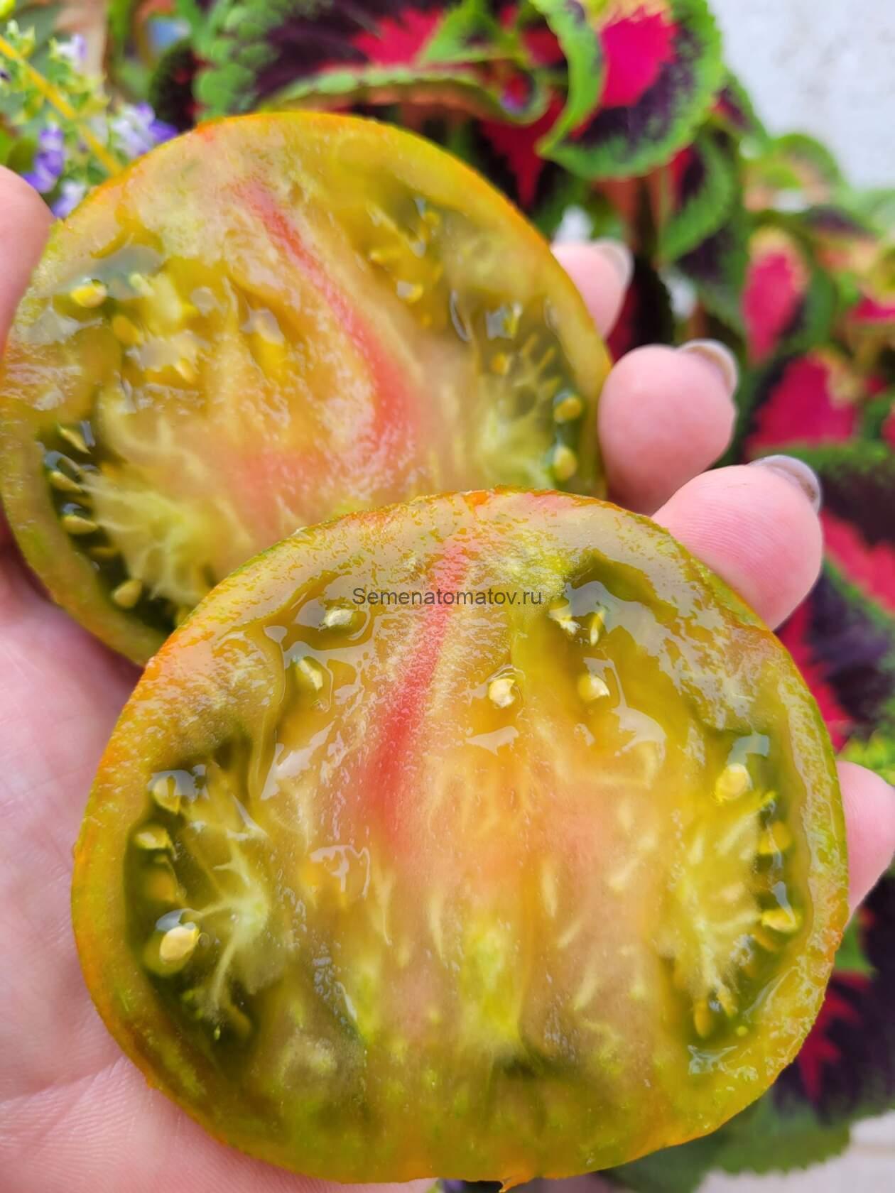 Полосатый Бык ( Striped Bull, США) — Семена Томатов