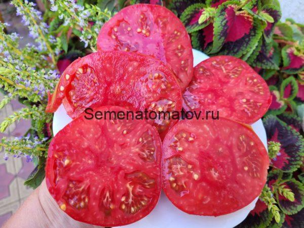 Lipolist (Липолист), Сербия — Семена Томатов