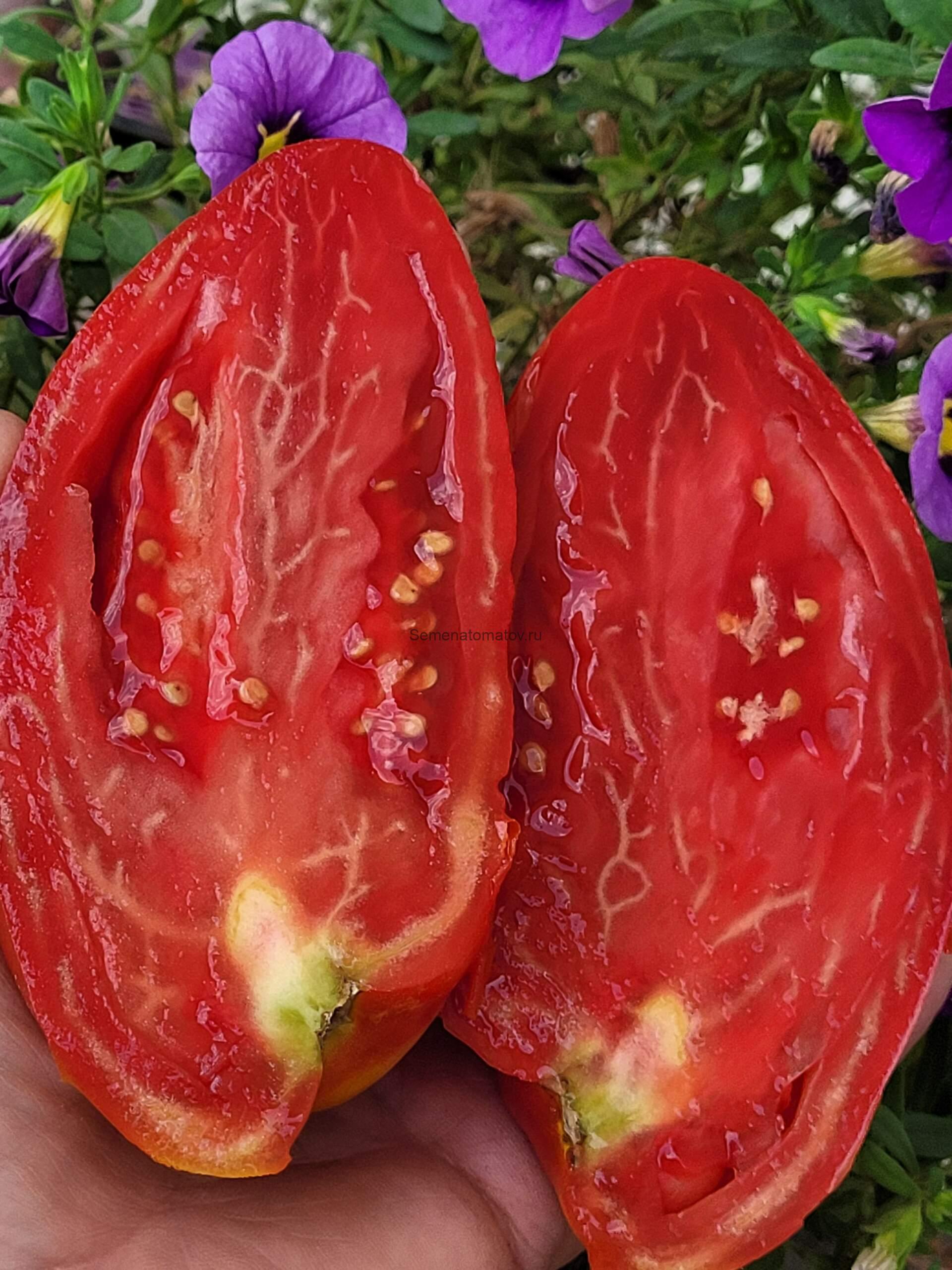 Fetterman Red Devils ( Красные дьяволы Феттермана), Франция — Семена ...